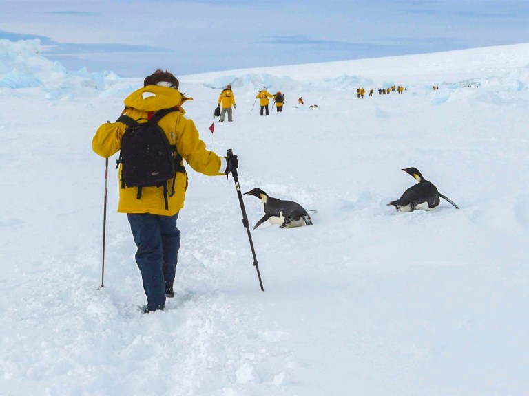 Antarctica – Gill Merritt Photography