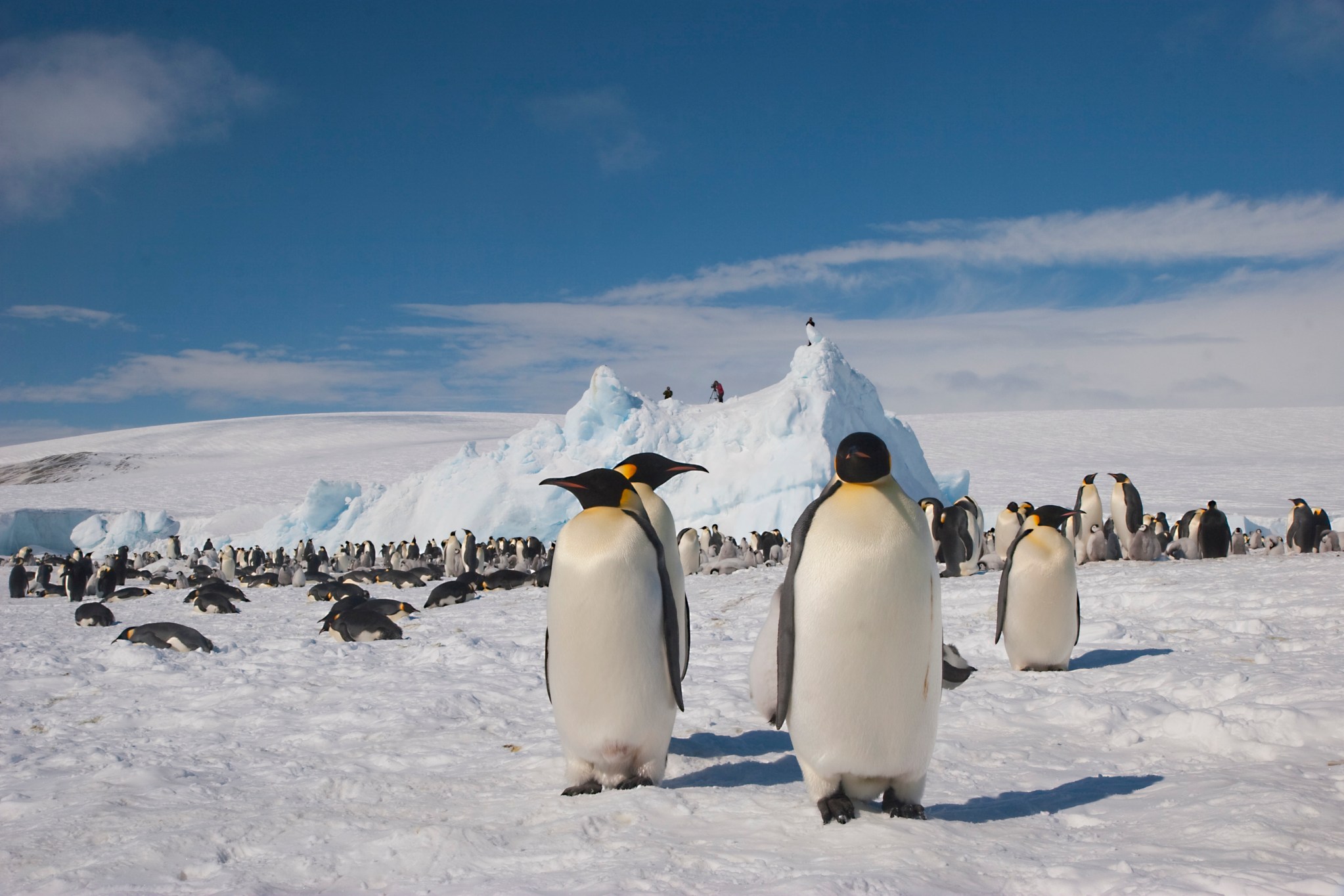 Antarctica – Gill Merritt Photography
